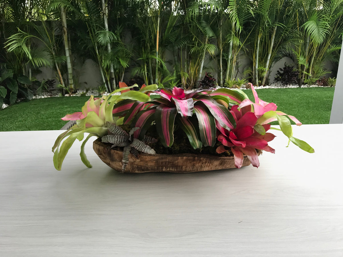 Bromeliads Flower Arrangement in Wood Bowl – KOKECUTES